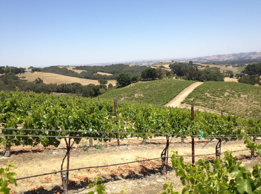 Pre - 2018 - Gibbs Vineyards